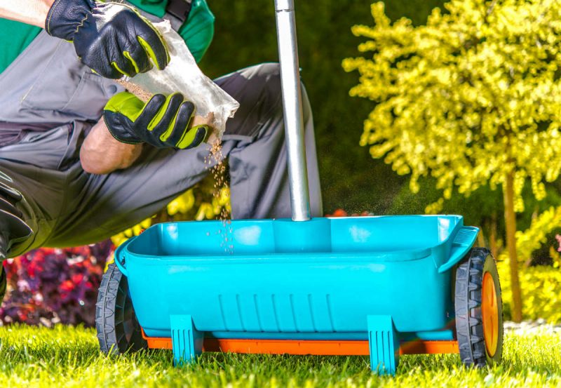 How to Winterize Your Lawn | Liqui Green Turf & Tree Care