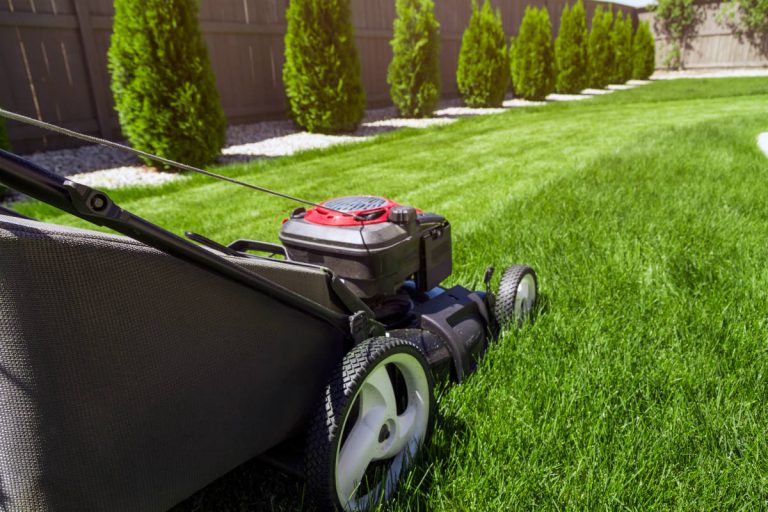How to Winterize Your Lawn | Liqui Green Turf & Tree Care